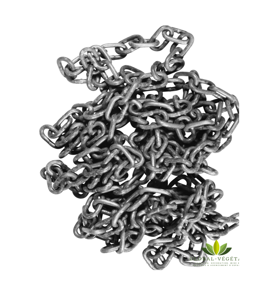 Location de chaîne en fer - Global Végétal®